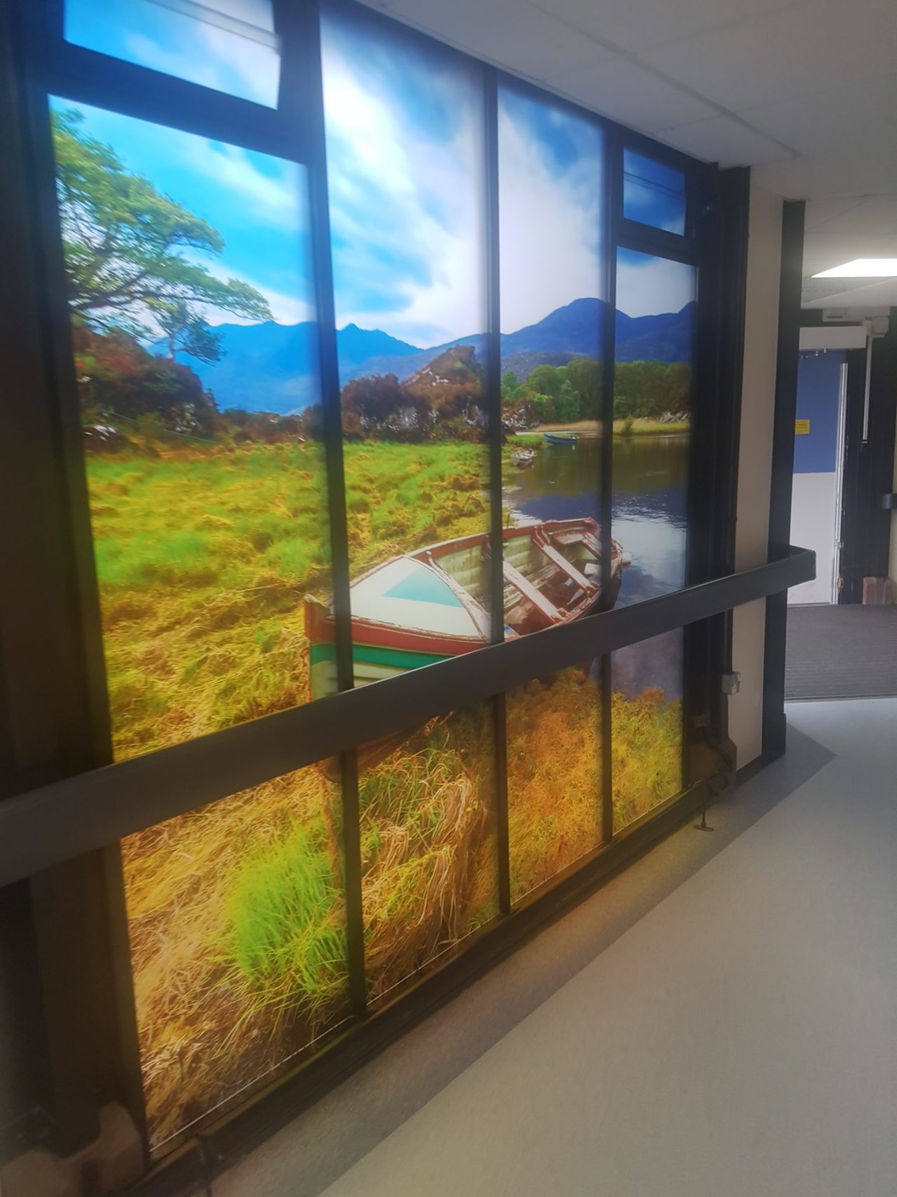 Ceiling Graphics Update Gloomy Rooms - Graphic Signs